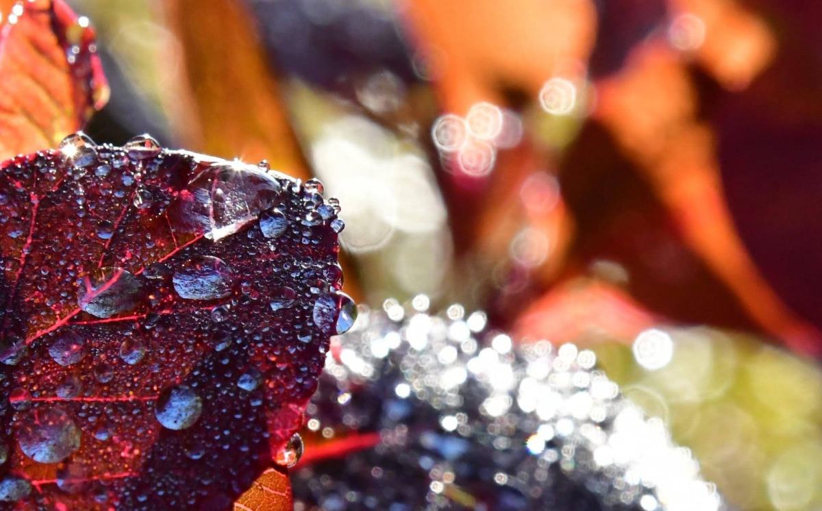 TSSF & The Community of the Cross of Nails – Franciscans in Scotland